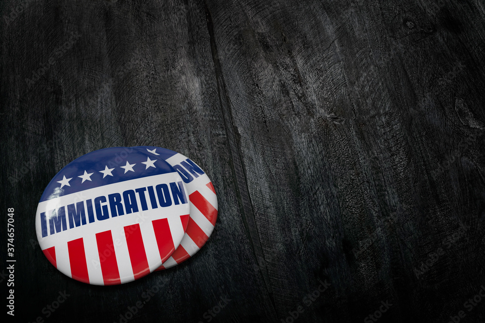 American flag symbol with the word 'Immigration' printed on the pin ...