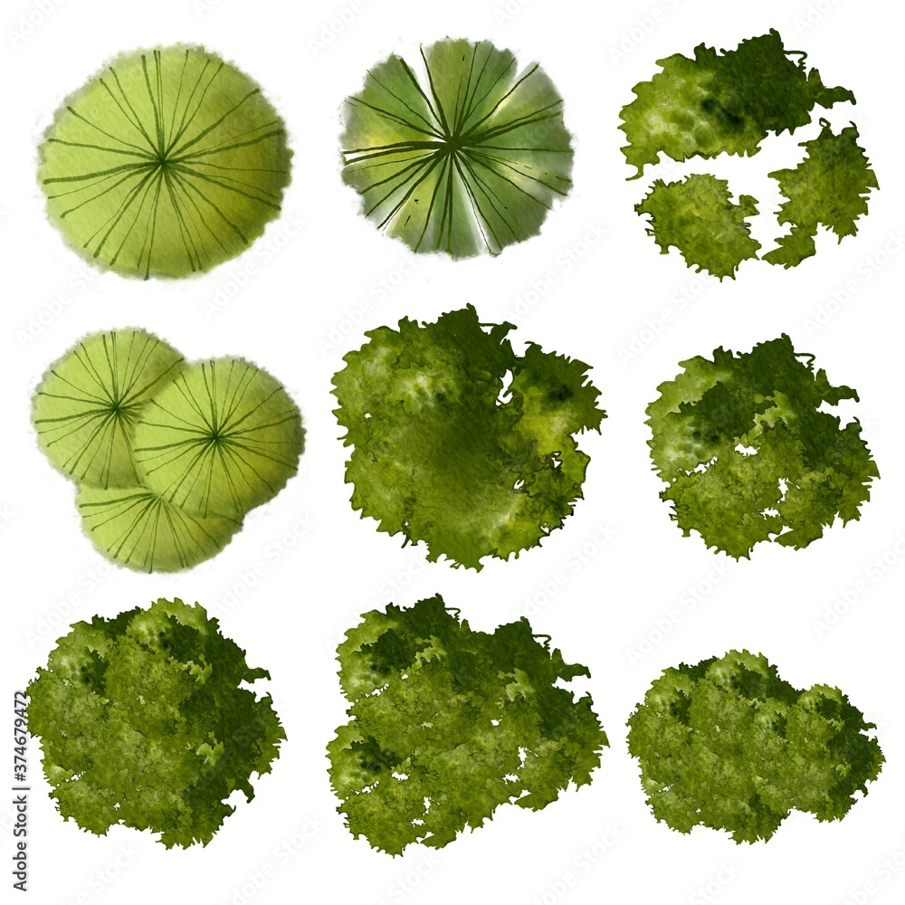 set of watercolor tree top view for landscape plan and architecture ...