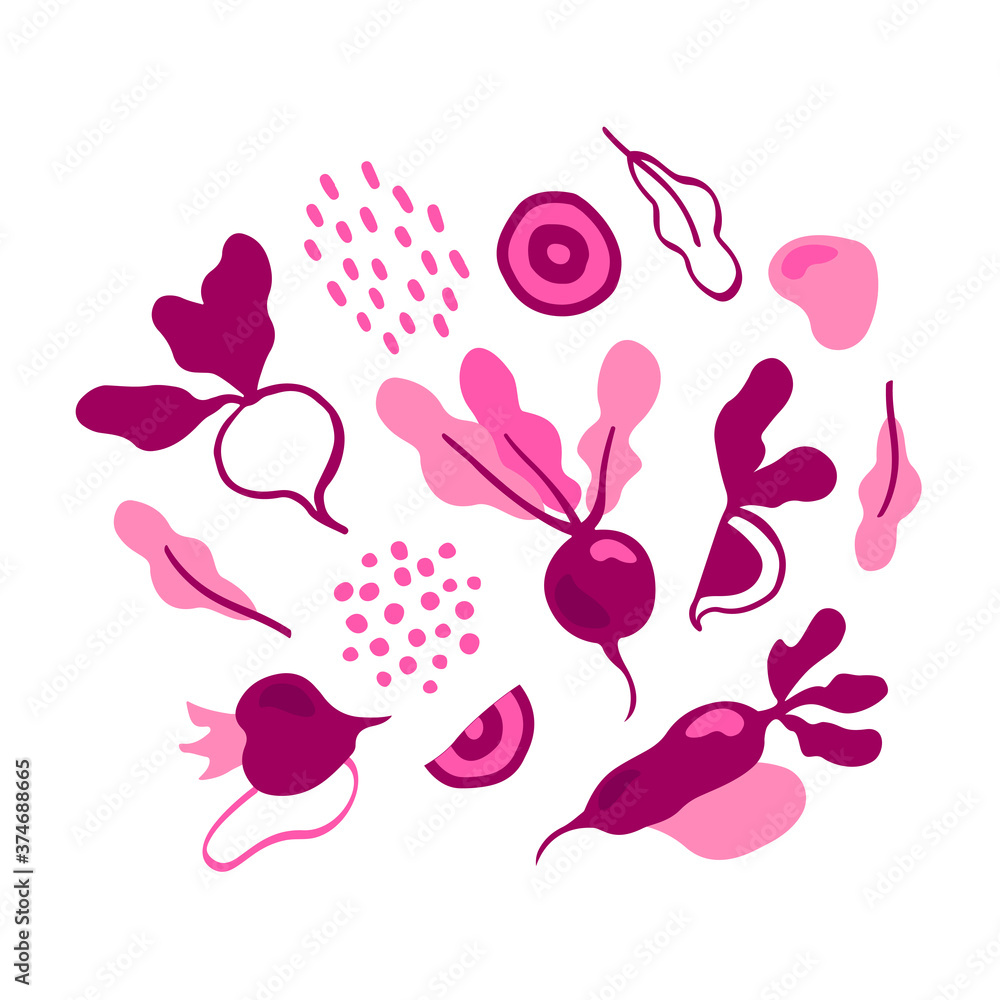 Hand drawn beetroot vector set in cartoon style. Healthy organic beets ...