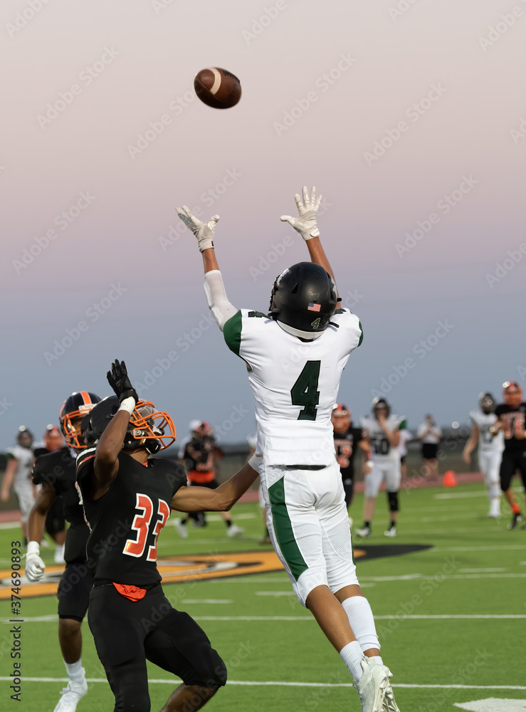 Great action photos of football players making amazing plays during a ...