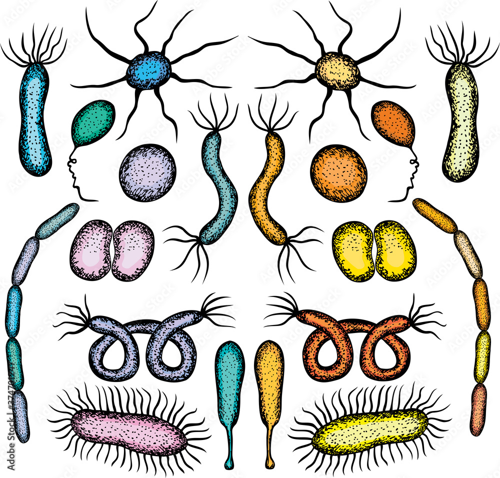 Vector drawing of set various drawn colorful bacterias Stock Vector ...