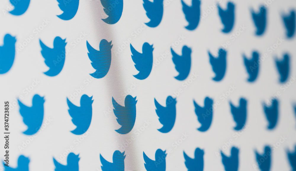 Seamless pattern of Twitter logo on white background - real macro shot ...