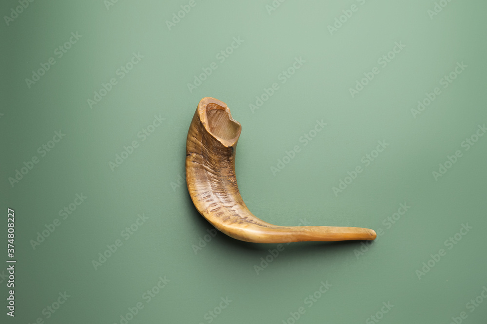 Rosh Hashanah Shofar