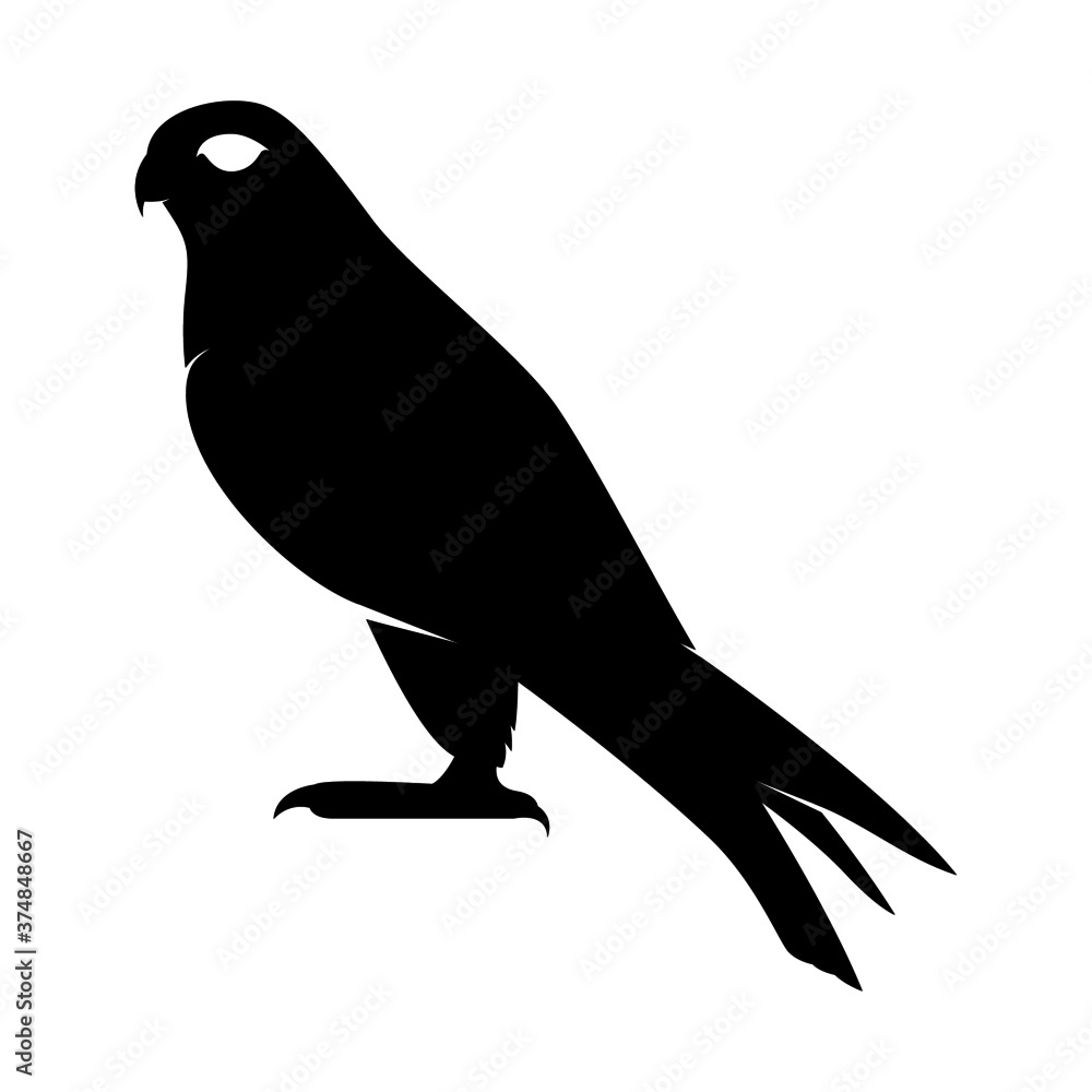 Falcon Silhouette on White Background. Isolated Vector Animal Template ...