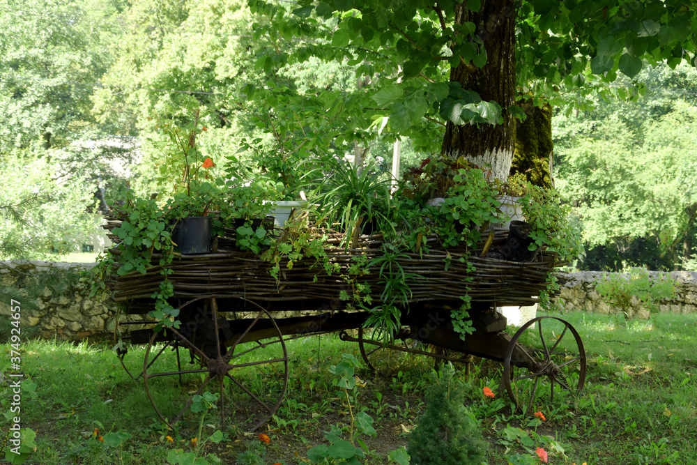 Old wooden cart filled with green plants, beautiful landscaping ...