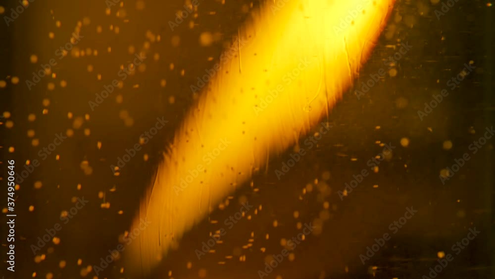 Vidéo Stock Water drops background,Beer - Alcohol, Bubble, Backgrounds ...