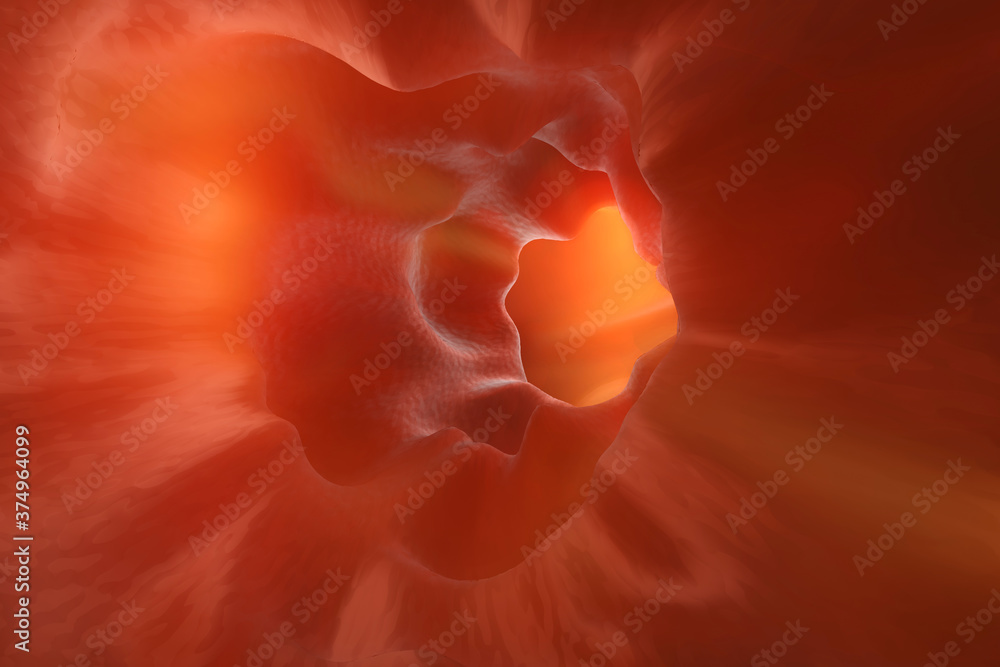 3D Illustration of a Enteroscopy of the human intestines Stock ...