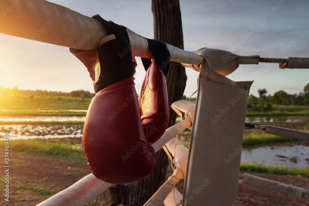 Leather boxing gloves hanging in an outdoor boxing ring, Thailand Stock ...