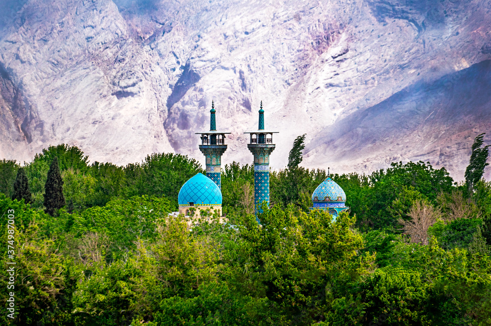 Foto de Iran, in the oasis of Rayen ( district of Kerman), In the ...