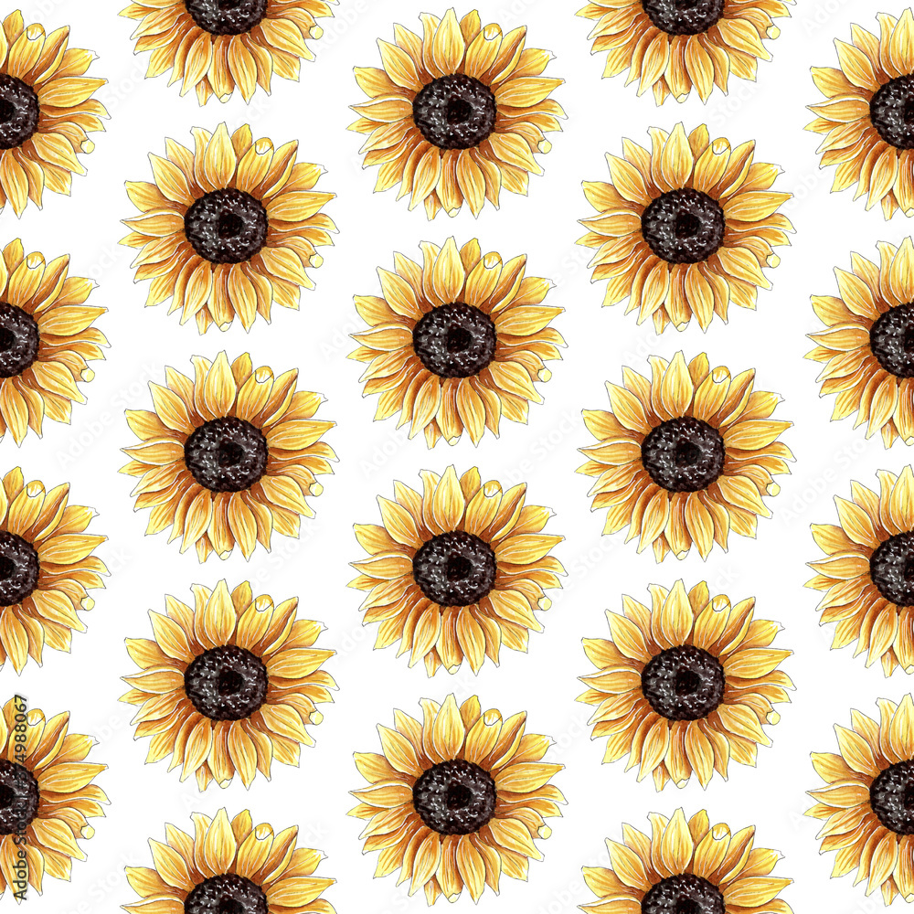 Watercolor Floral pattern, sunflower background, seamless digital paper ...