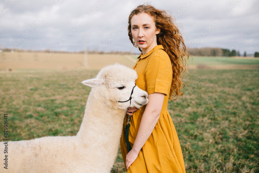 Young woman and alpaca in field Stock Photo | Adobe Stock