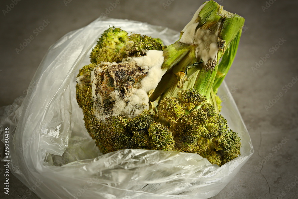 rotten broccoli is in a plastic bag on a dark background. Concept ...