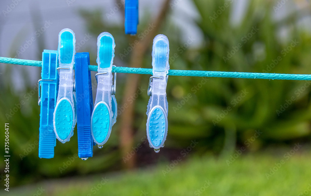 Blue washing pegs wet with dew isolated on a washing line against an ...