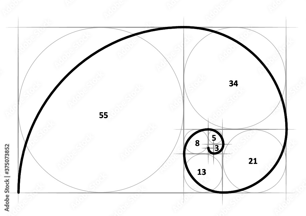 Leonardo da Vinci day. The golden ratio template spiral. Fibonacci number. Circles in golden ...