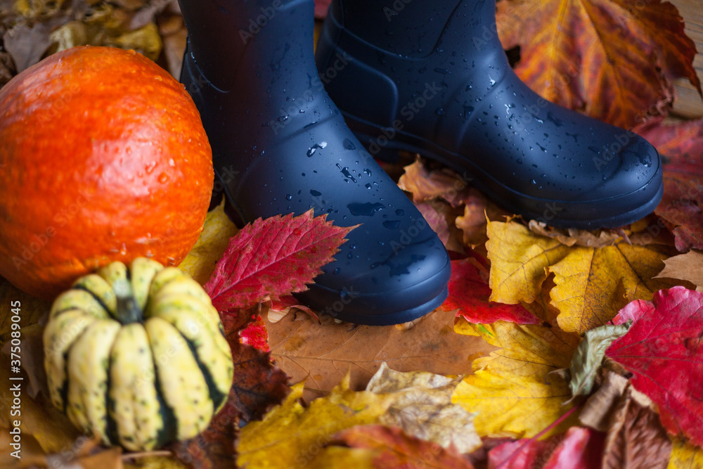 Autumn composition with rubber boots and decorative pumpkin in front of ...