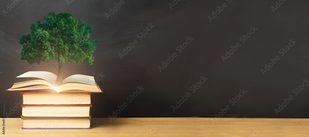 Tree Growing From Books Lying On Desk, Black Background, Collage Stock ...
