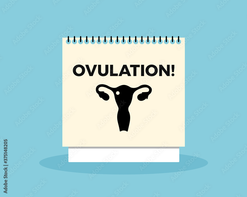Ovulation calendar - fertile day and window as period and time for ...