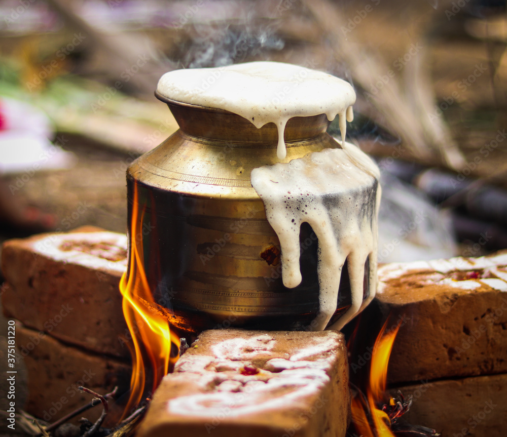 Pongal festival,Tamil Nadu festival Pongal Sankranti Diwali spicy ...