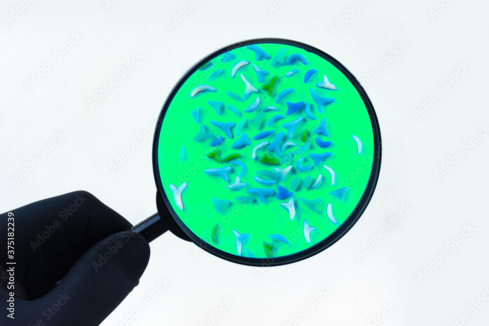 Probiotics and prebiotics. The scientist examines useful microorganisms ...