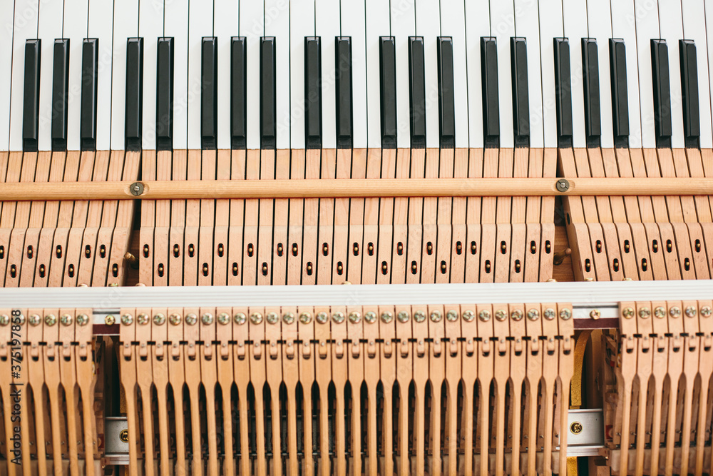 Mechanism of a piano keyboard Stock Photo | Adobe Stock