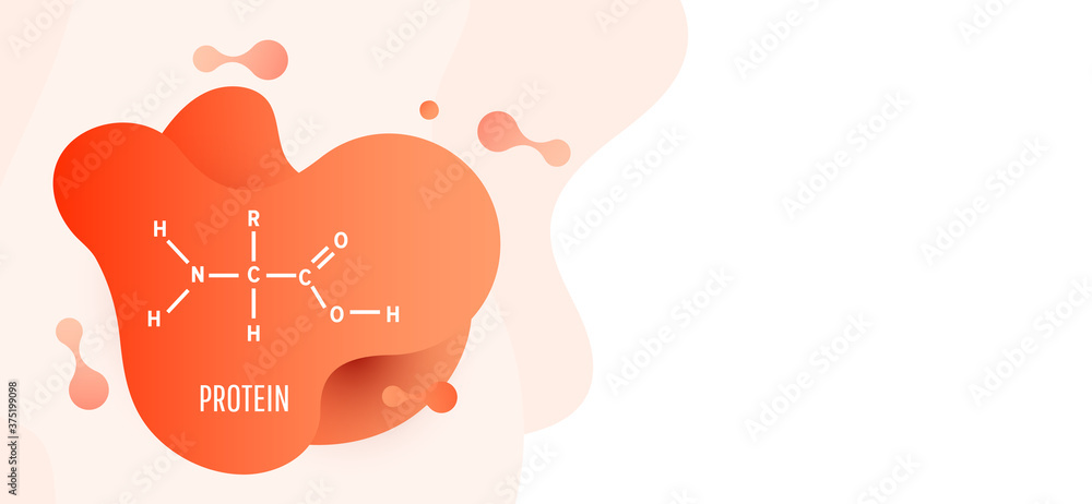 Protein. Structural chemical formula and model of molecules on orange ...