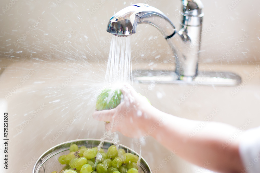 Washing Fruit Stock Photo | Adobe Stock