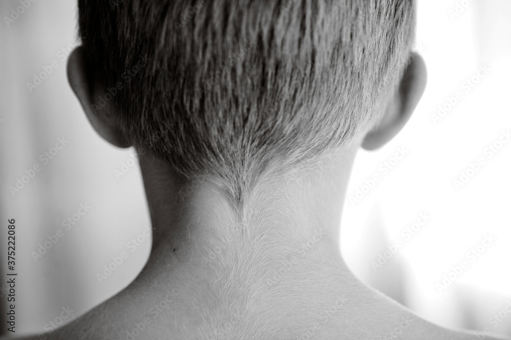Back of boys head showing nape of neck and hairline Photos | Adobe Stock