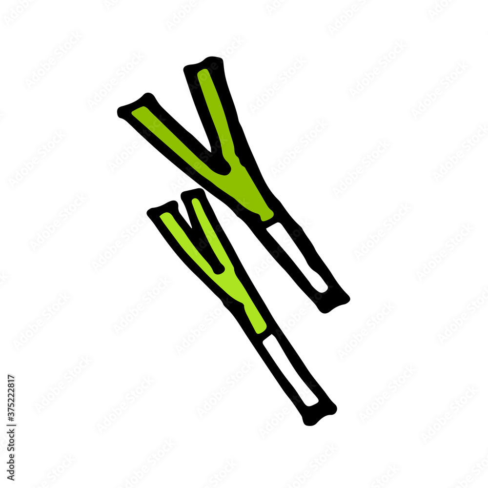 Leeks vector illustration isolated on white background. Colorful doodle ...