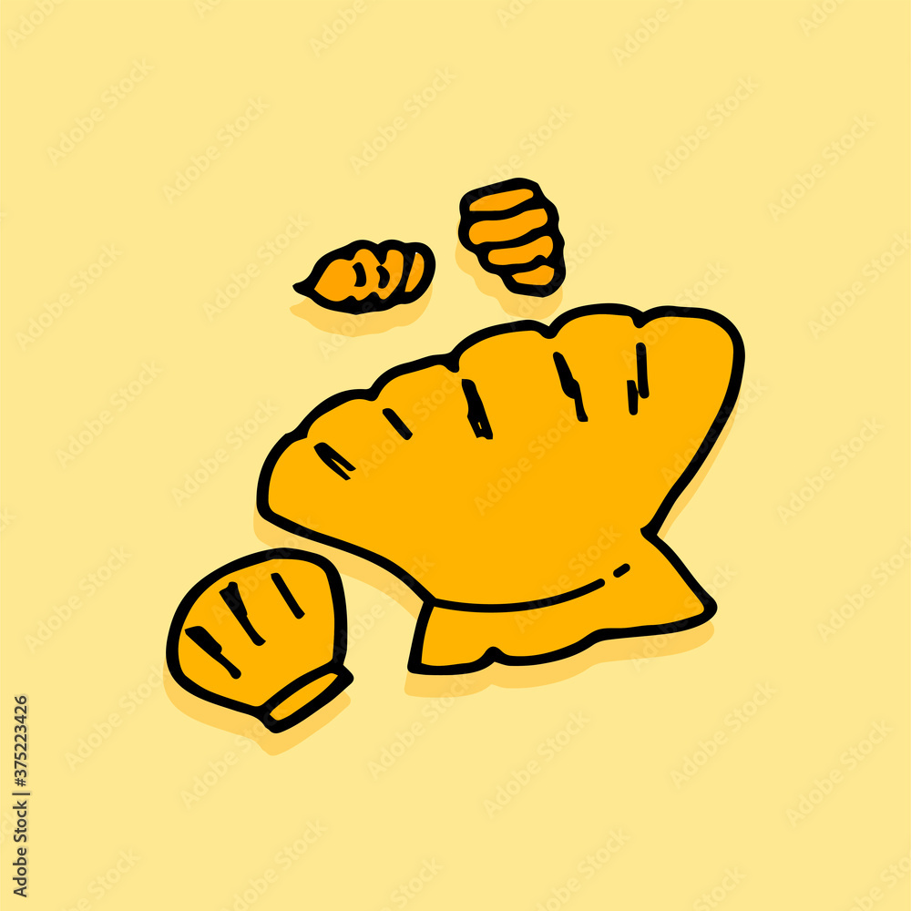 vector illustration of shells isolated on yellow background, hand drawn ...