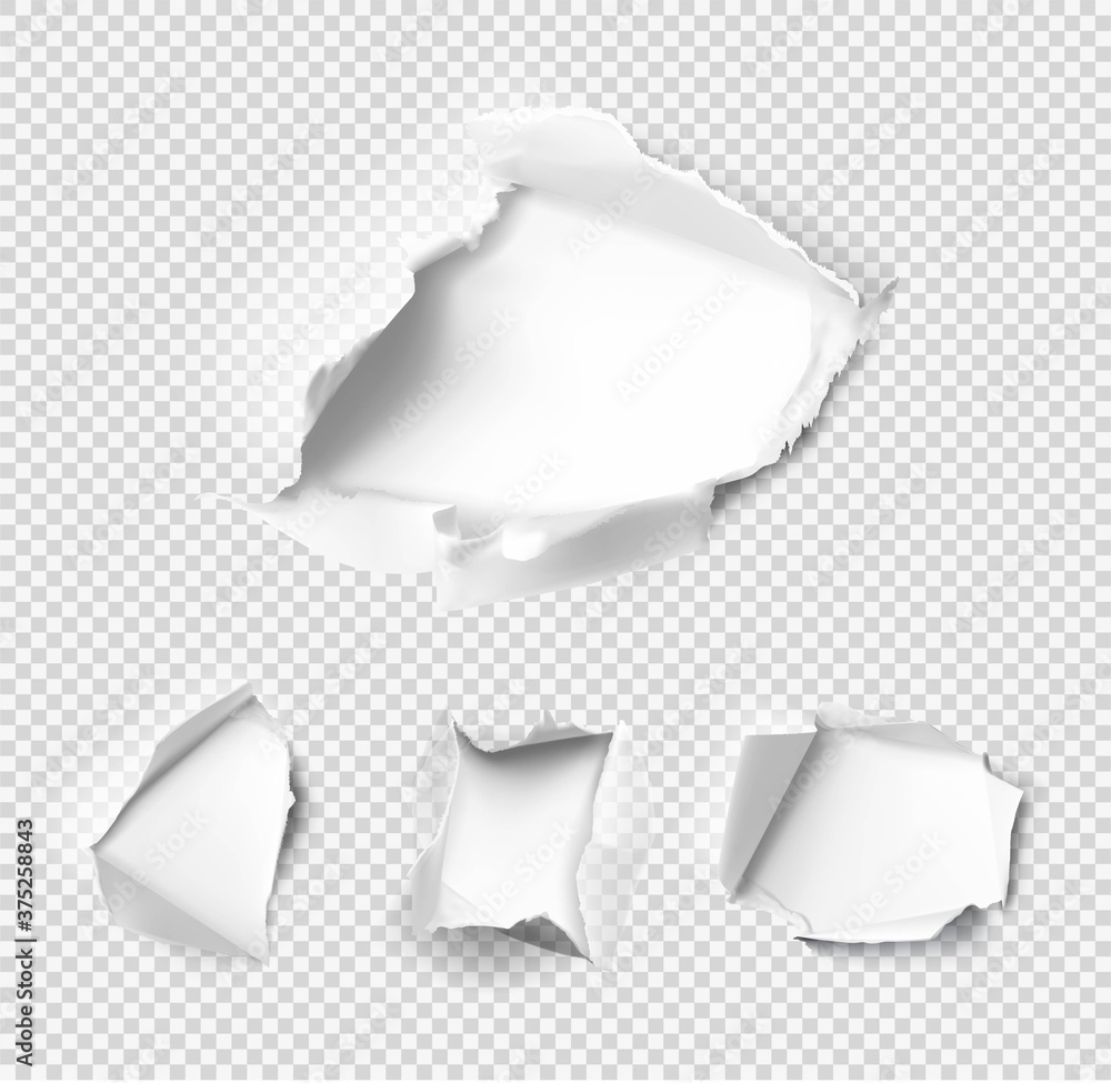 Set Of Realistic Holes In Paper On Transparent Background Vector set-of-realistic-holes-in-paper-on-transparent-background-vector