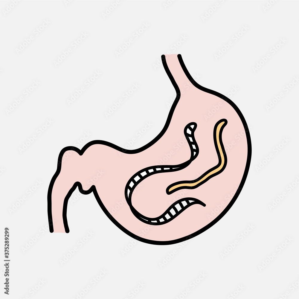 Gut parasites doodle, hand drawn vector doodle illustration of worm ...