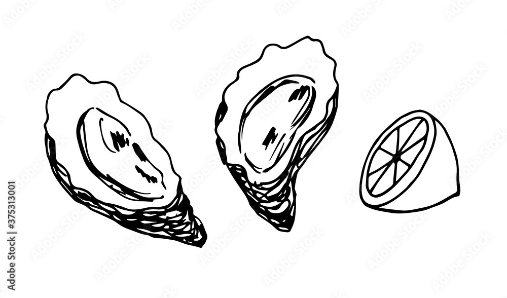 Hand-drawn vector set, ink drawing. Oysters, lemon, delicacy. Seafood ...