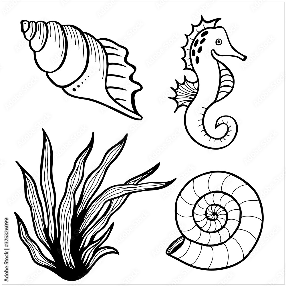 Marine set, hand drawn isolated vector illustration Stock Vector ...