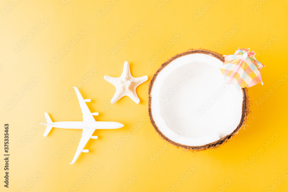 Happy coconuts day concept, fresh coconut, starfish, plane, airplane ...
