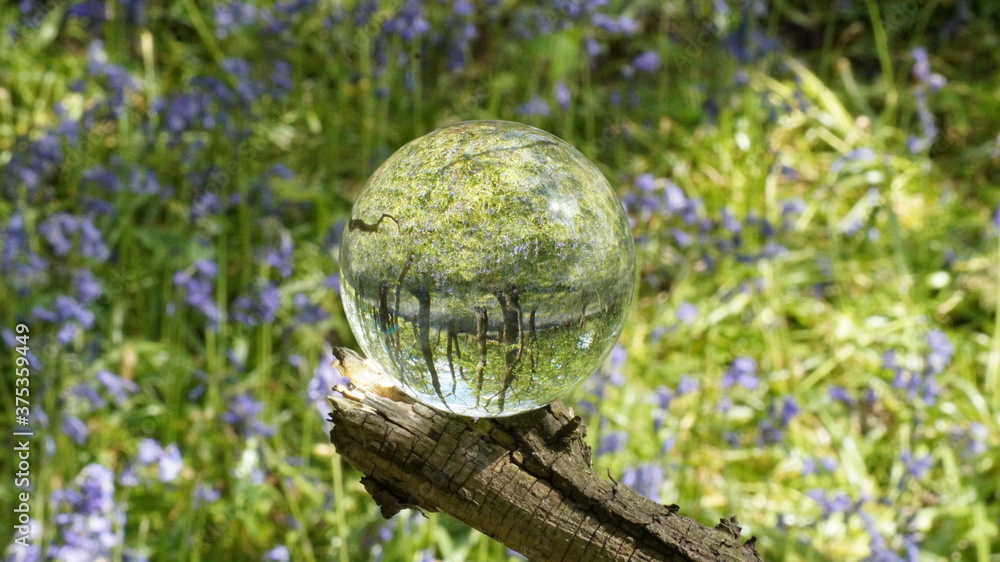 Glass Lens Crystal Photographic Sphere Ball showing magnified and ...