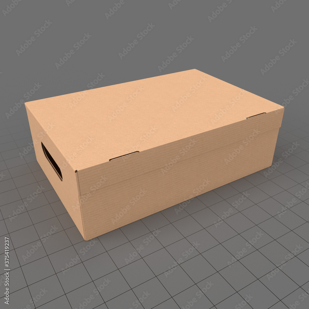 Closed cardboard shoe box Stock 3D asset | Adobe Stock