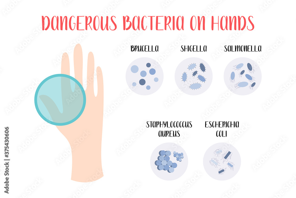 Dangerous bacteria on hands: Brucella, Shigella, Salmonella ...