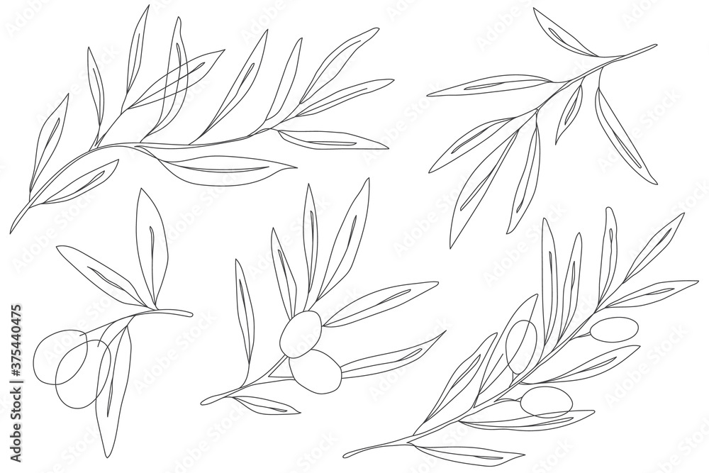 Olive branch engraving vector illustration. Graphic olive collection ...