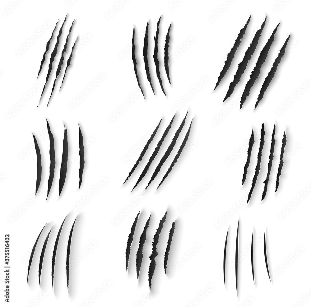 Claws scratches isolated vector wild animal nails rip, tiger, bear or ...