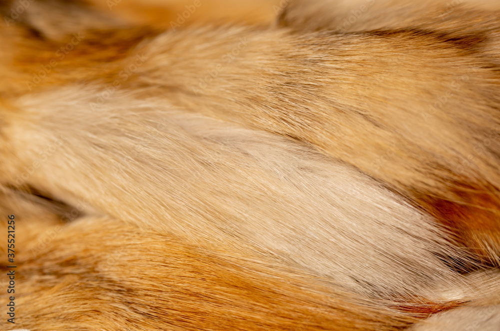 Fox fur close up. Redhead animal fur background, fur pile texture ...