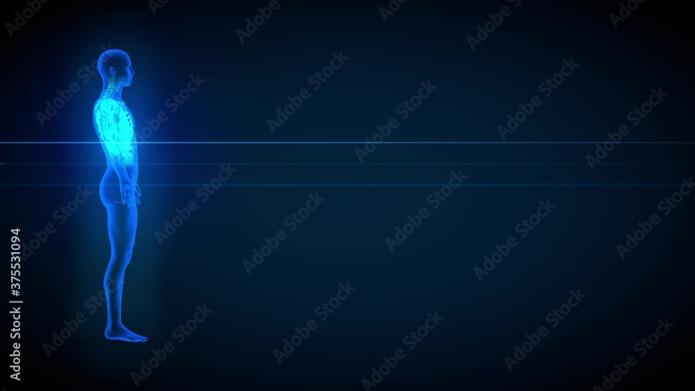 3 different 3D seamless looping animations in 1, male body side view ...