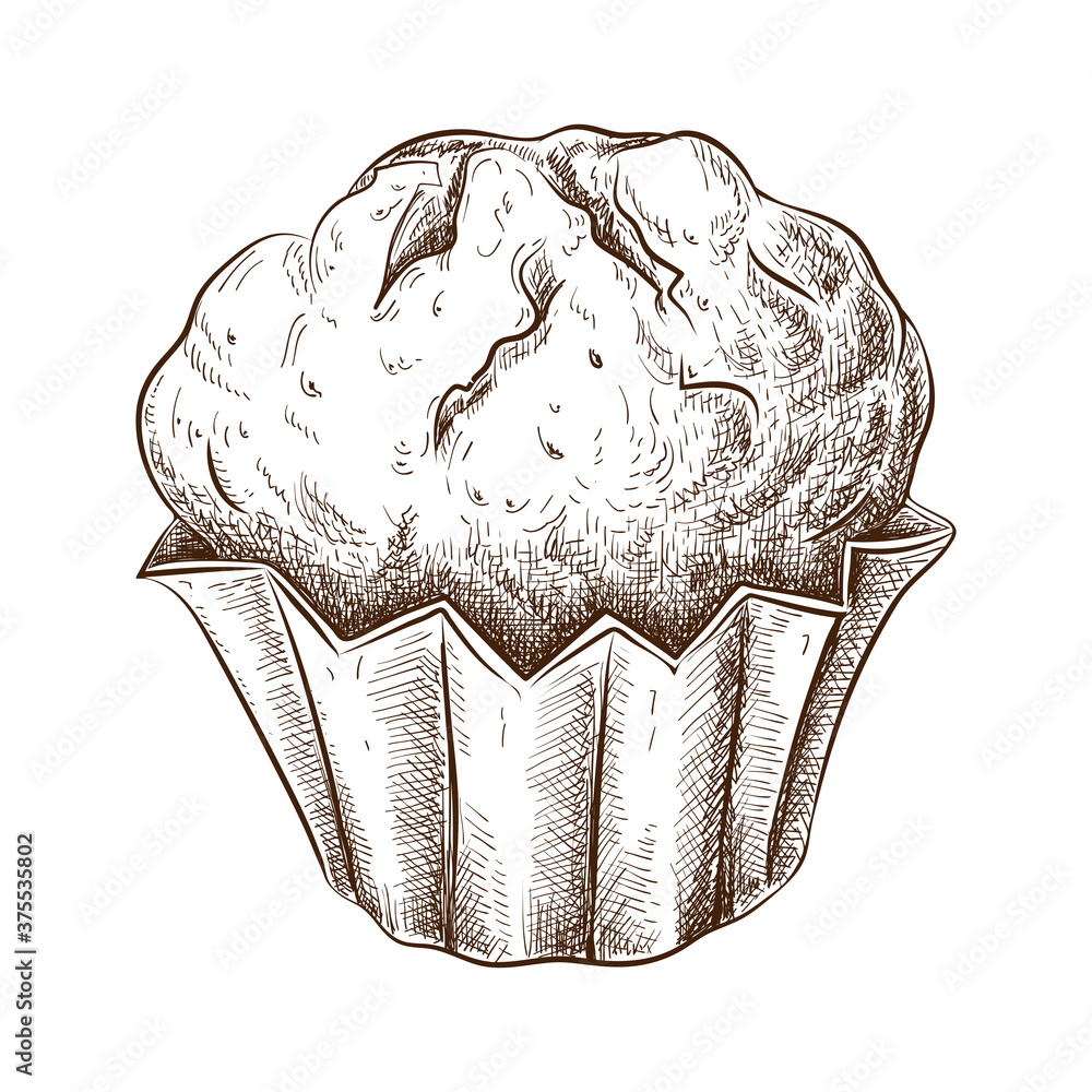 Hand drawn muffin isolated on white. Sketch of fresh baked muffin in ...