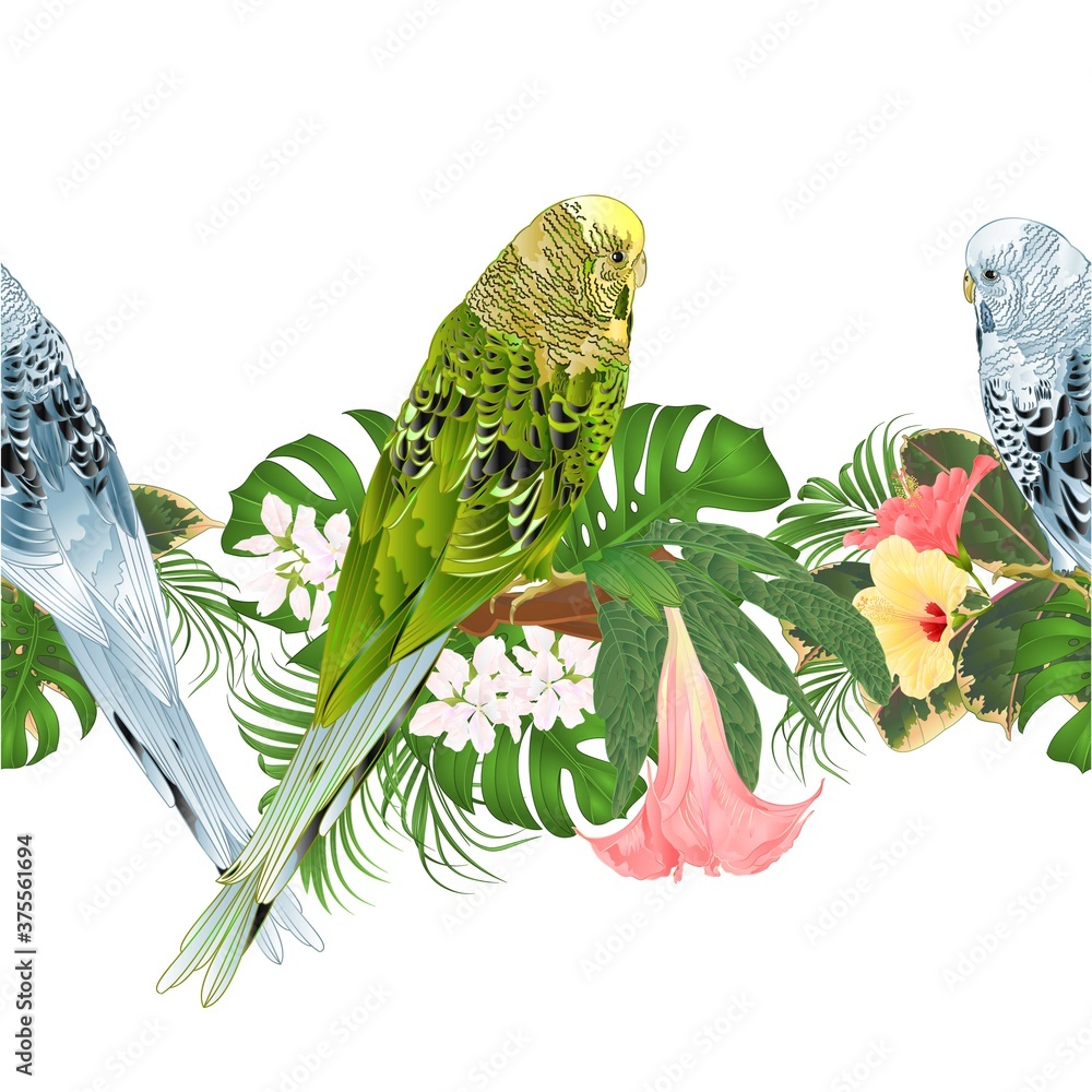 Tropical border seamless background green and blue Budgerigars, pet ...
