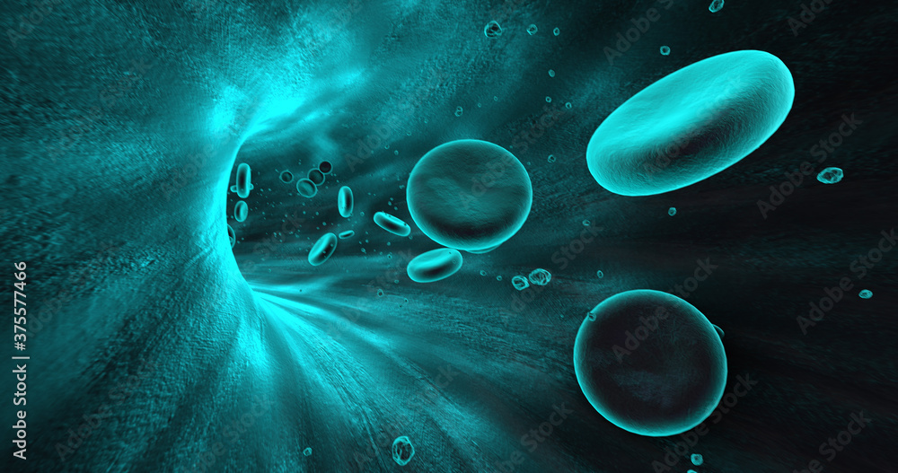 Blood Cells Flowing Inside Human Vein With Small Particles. 3D ...