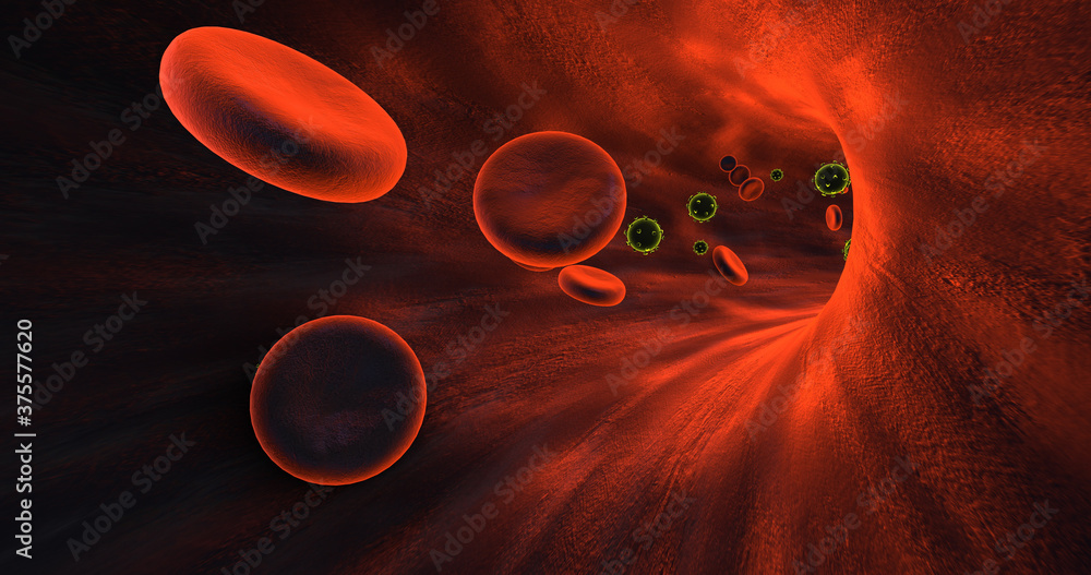 Infected Red Blood Cells Flowing Inside Human Vein. Virus Related ...