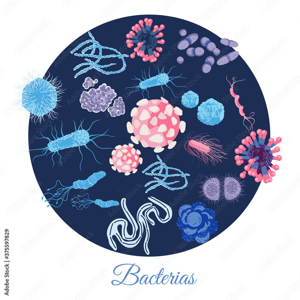 Bacterial microorganisms in circular shape. Microbes, infectious germs ...
