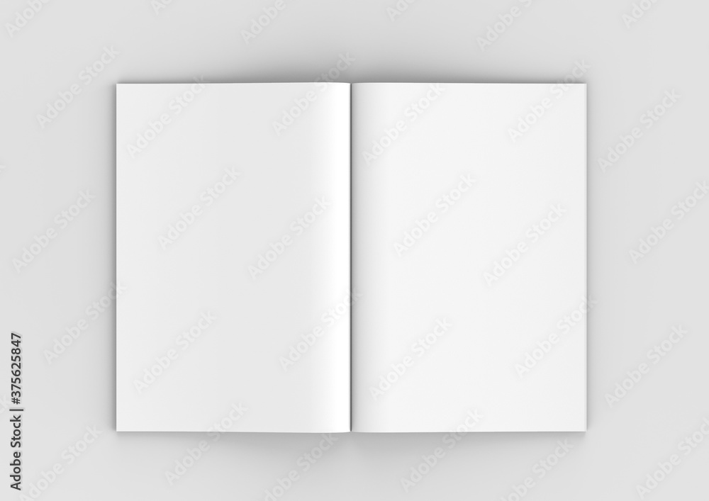 A4 editorial and catalog cover and page mockup Stock Illustration ...
