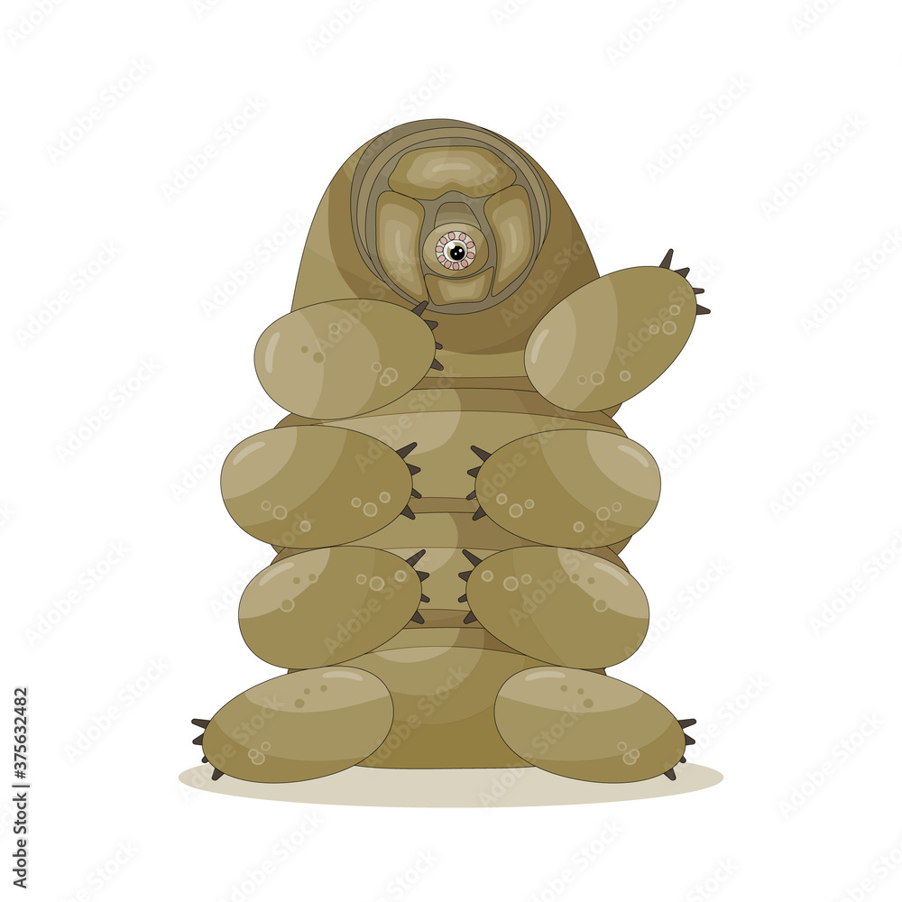 Brown isolated happy quirki cute cartoon vector tardigrade is sitting ...