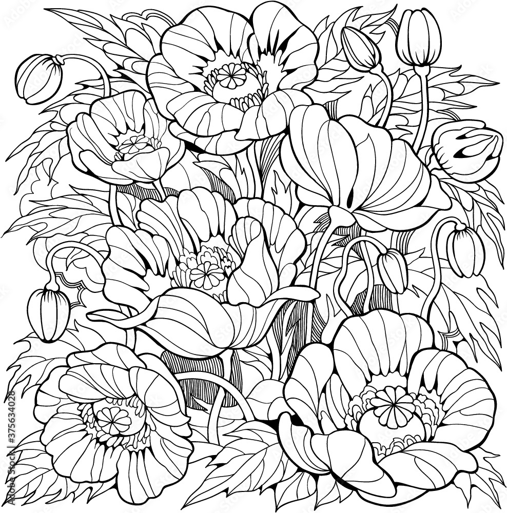 Poppy flowers. Coloring page for adult and older children Stock Vector ...