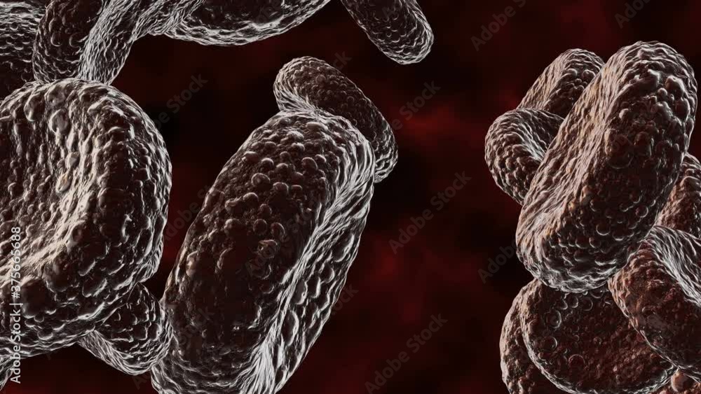 Dead Red blood cells in an artery - 3D animation. Flow inside body ...